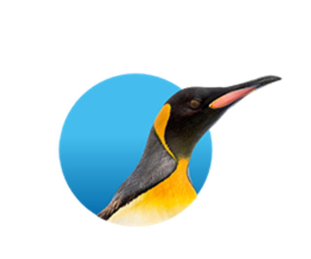 PIC announces three new key recruits in Origination team - PIC